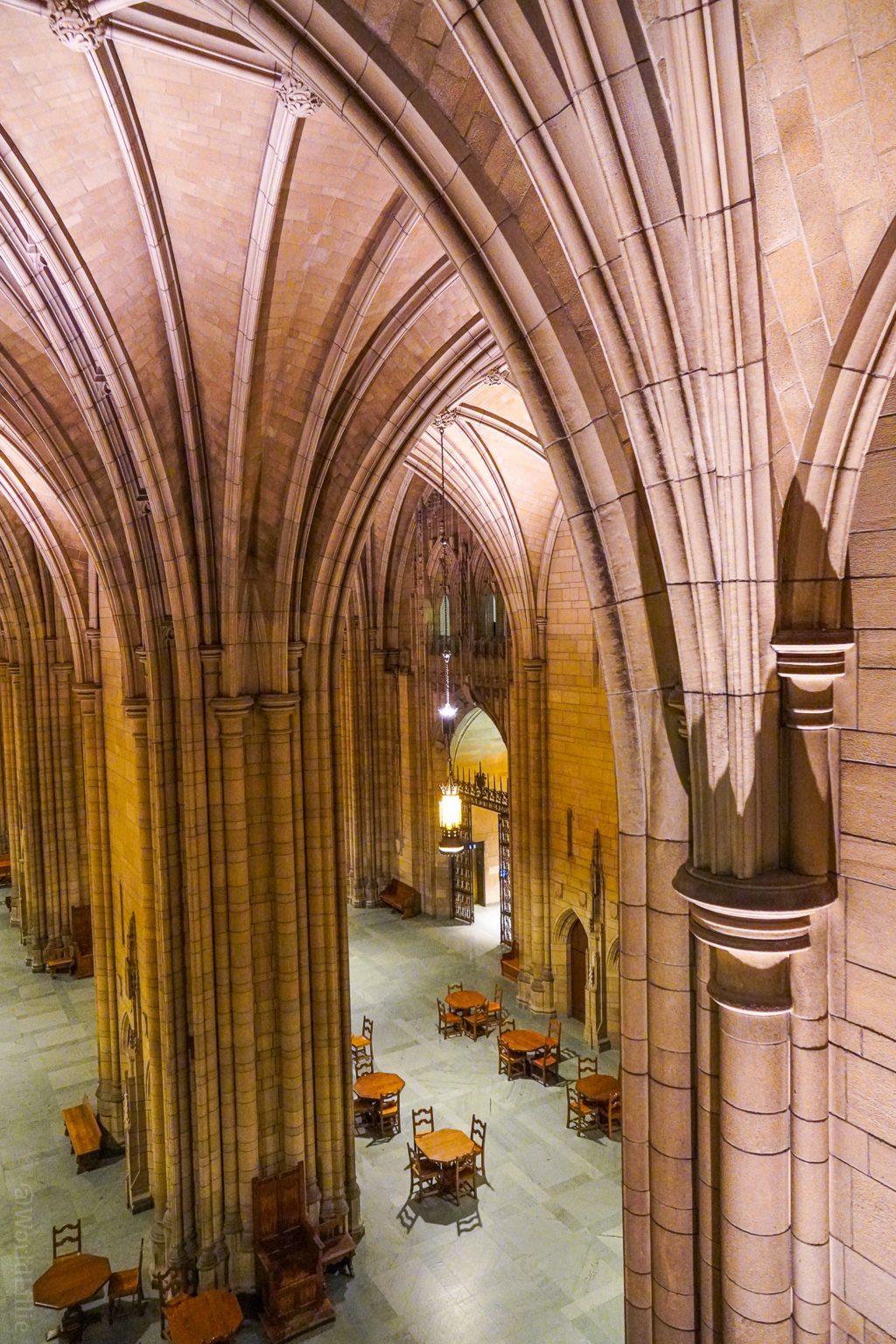 The Cathedral of Learning at the University of Pittsburgh: WOW ...
