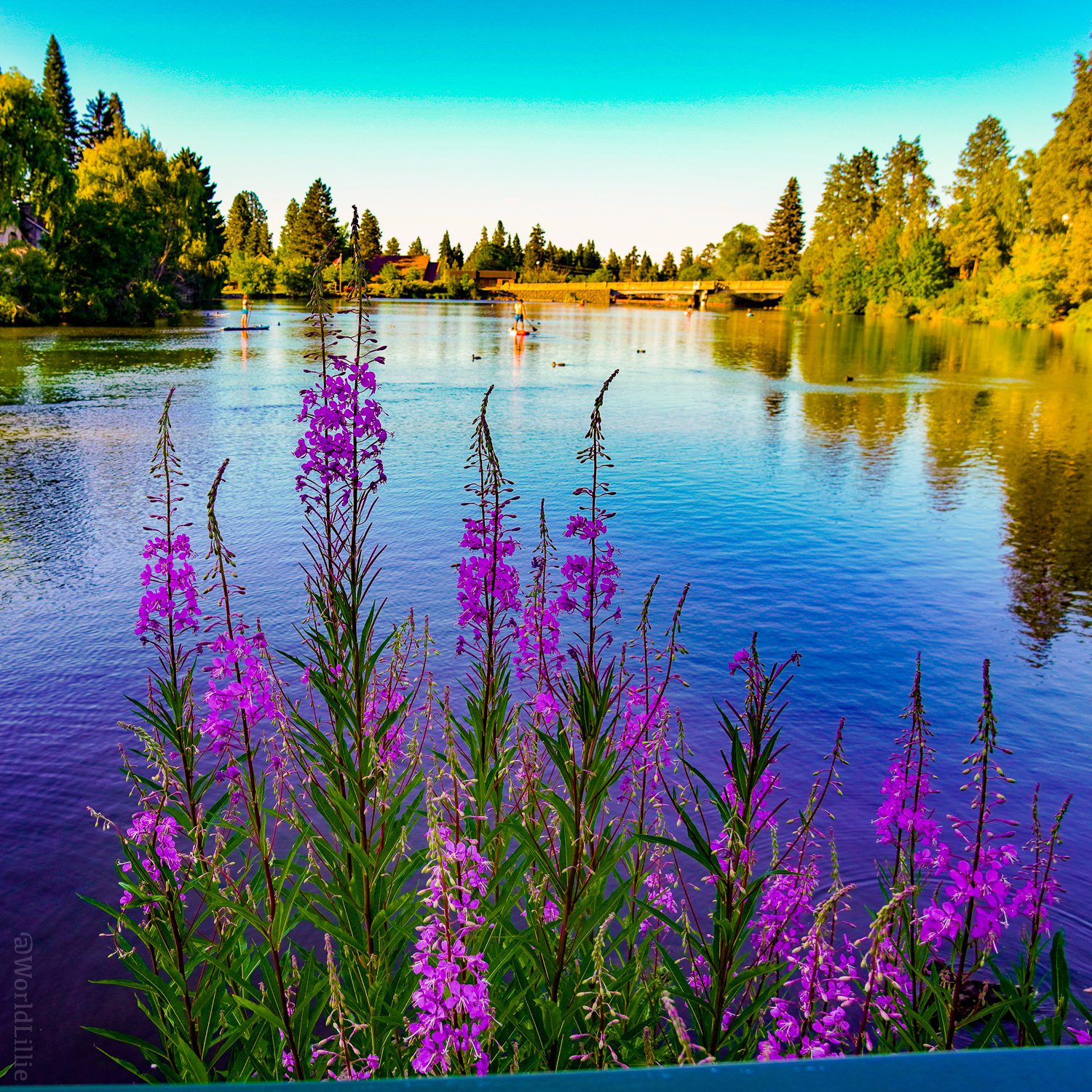 Portland to Bend, Oregon: Two Scenic Routes to Drive – Around the World "L"