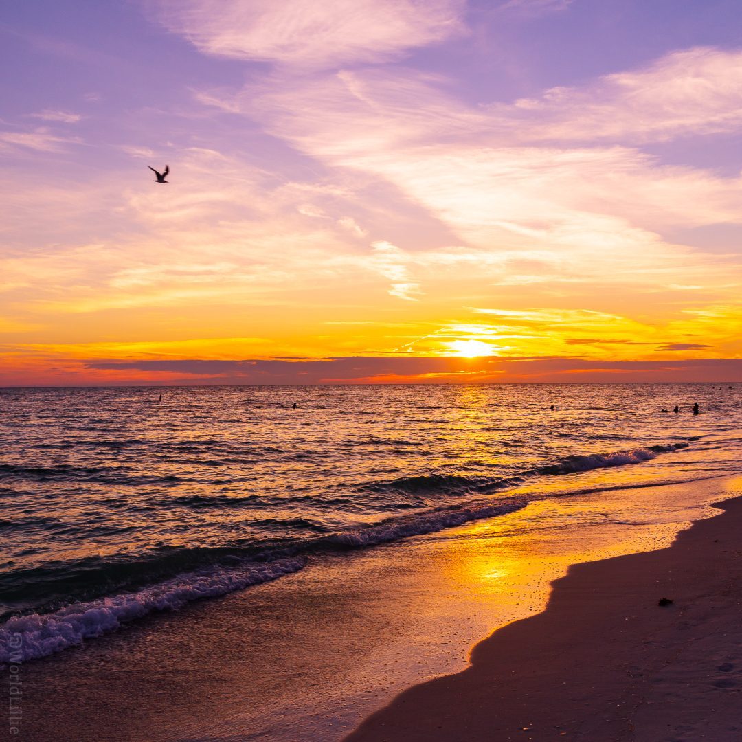 Anna Maria Island Beach, Florida: Ocean Vacation! – Around the World "L"
