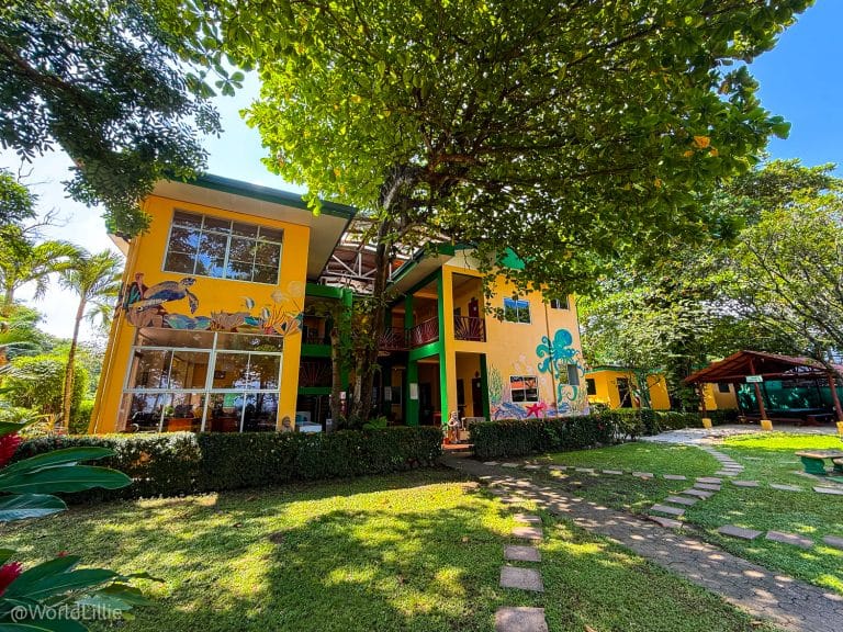 Costa Rica Spanish Immersion Classes for Adults and Kids (Beach ...